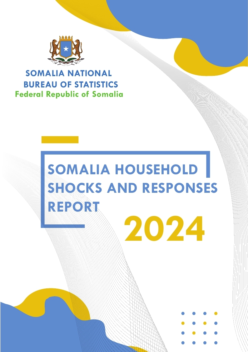 Home - Somali National Bureau of Statistics