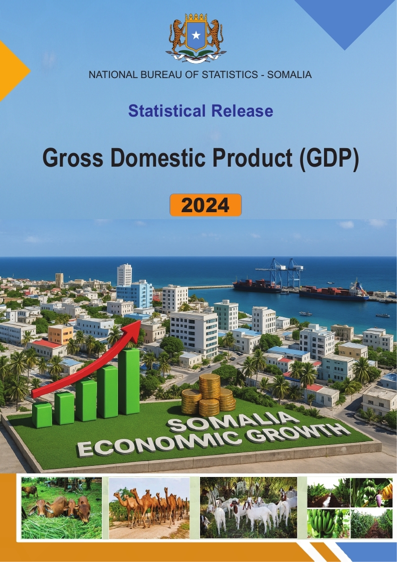 Home - Somali National Bureau of Statistics